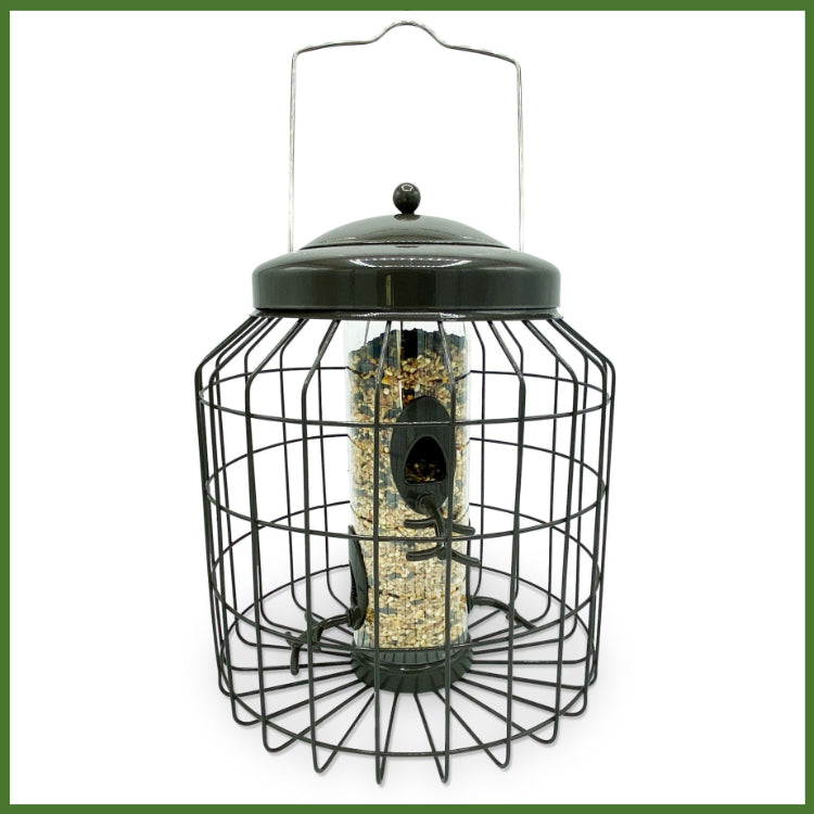 Bird Feeders – Garden Locker